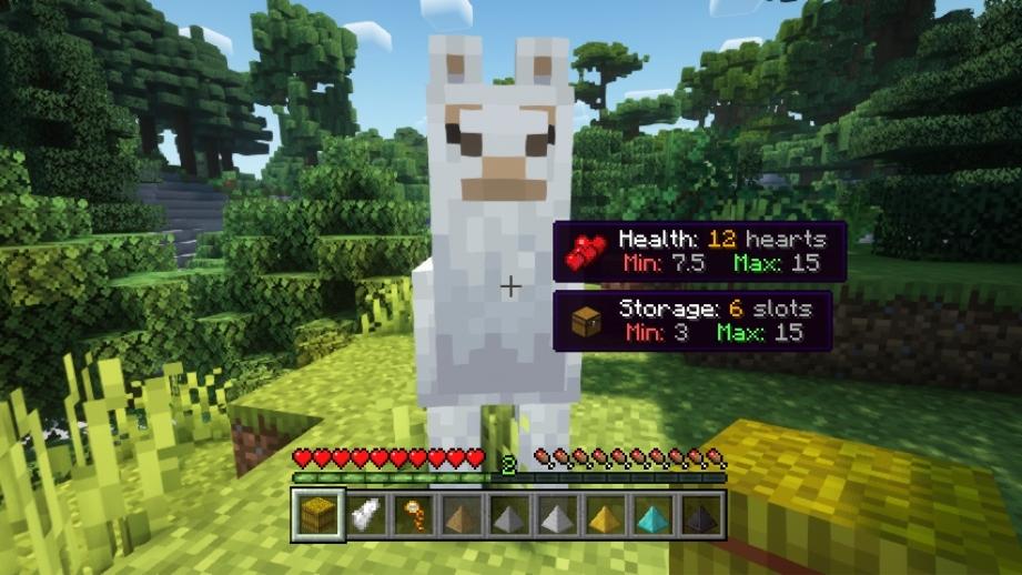 Top 10 Minecraft Graphics & Animations Mods – February 2026 – OPmods